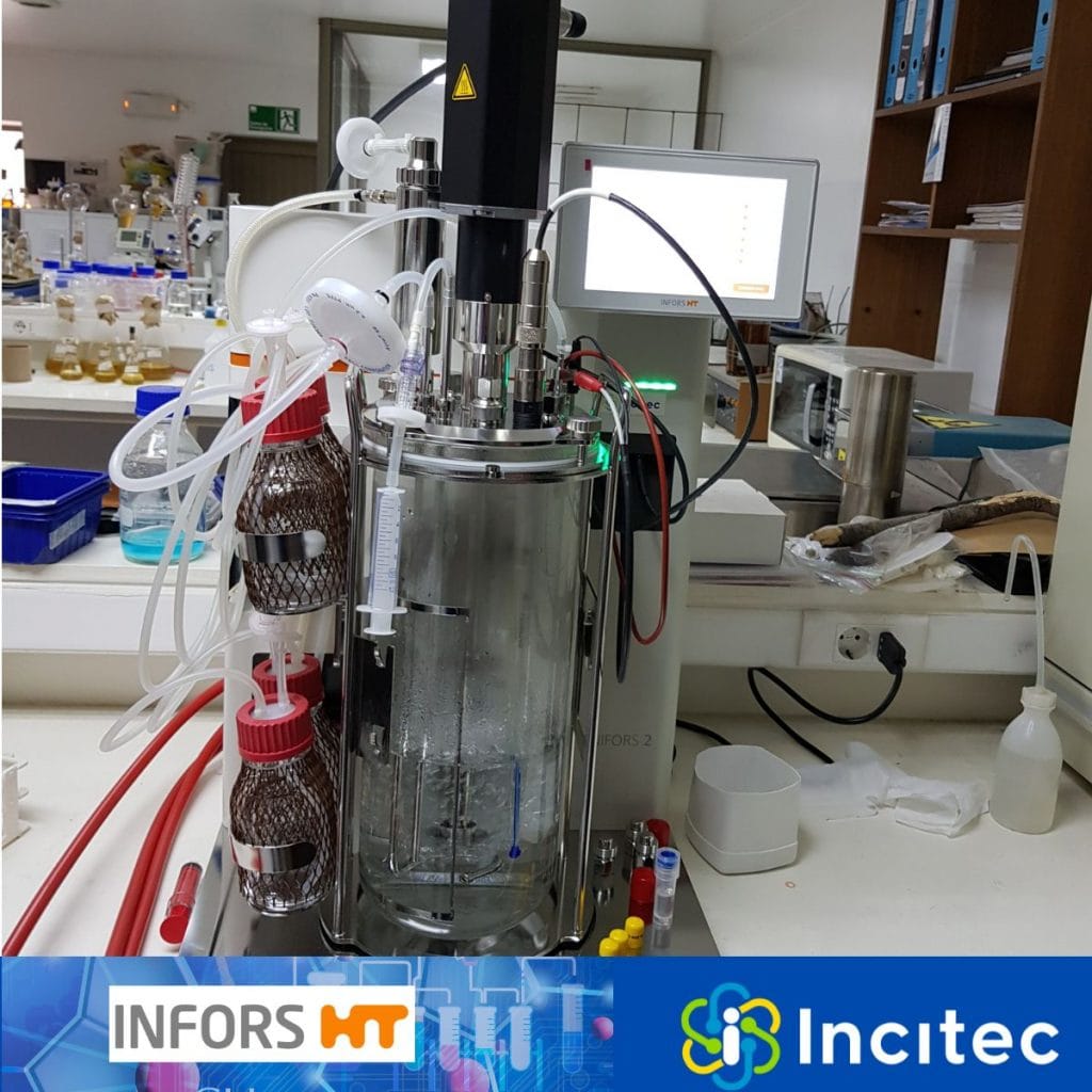Instalación de Biorreactor Minifors para Laboratorio de microbiología ...